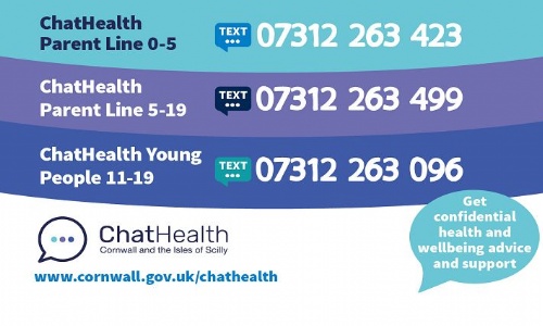 Nancealverne School - New Chat health service